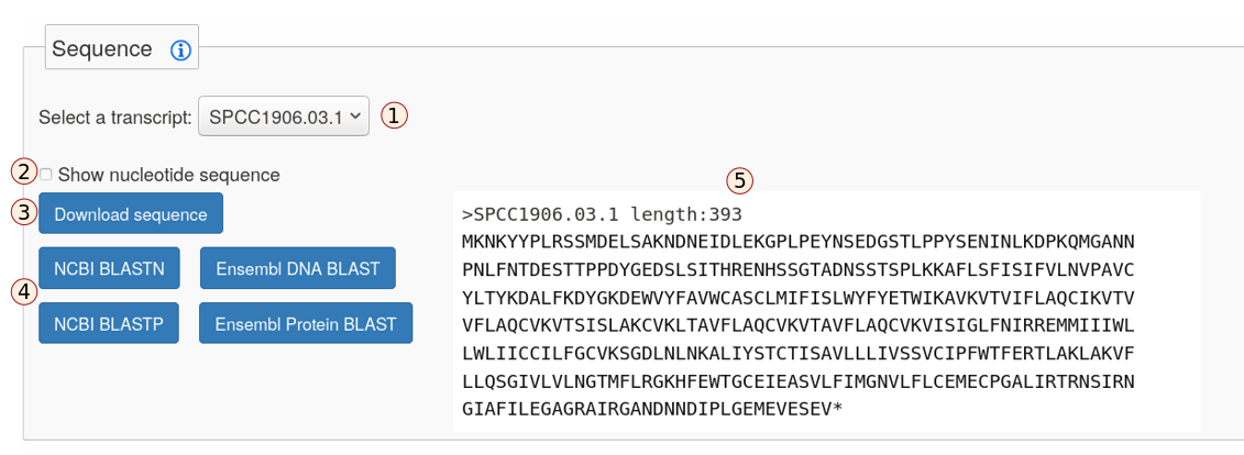 Nucleotide Blast PomBase Documentation Gene Page: Sequence